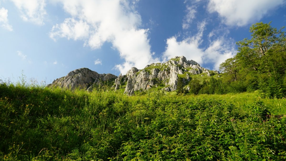 SUTJESKA NATIONAL PARK – Live The Life Expeditions