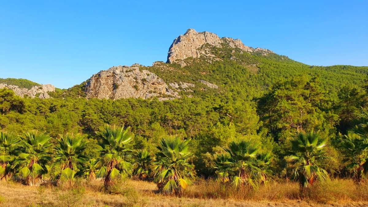 MT CHIMAERA (Yanartaş) – Live The Life Expeditions