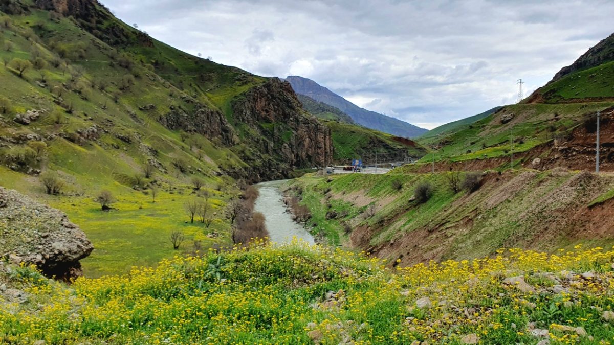 THE HAMILTON ROAD – Live The Life Expeditions