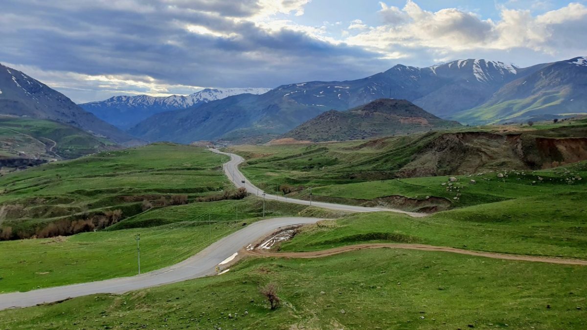 THE HAMILTON ROAD – Live The Life Expeditions