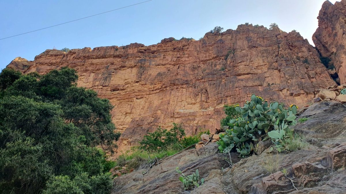 AL HABALA (الحبلة) – Live The Life Expeditions