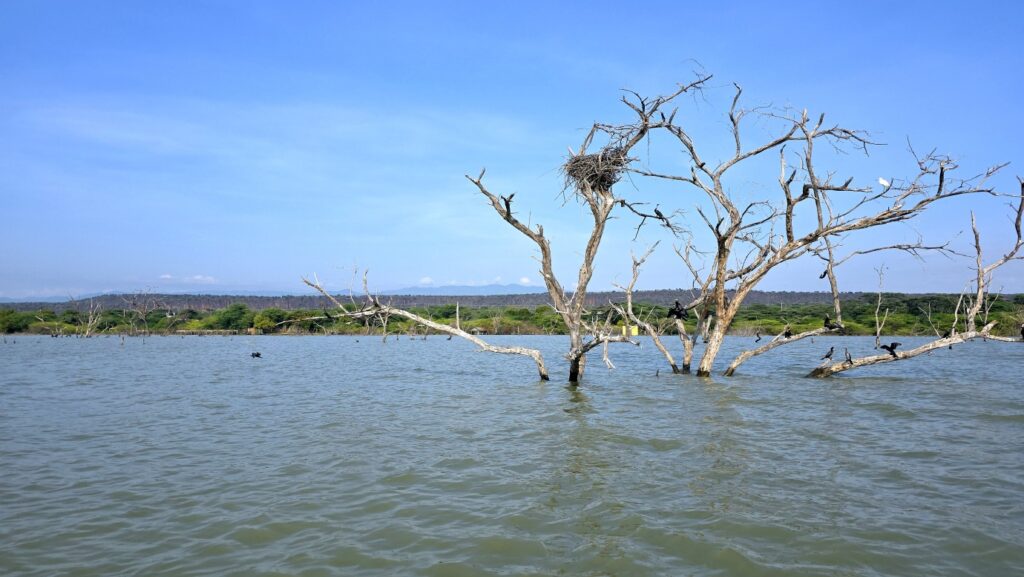BARINGO LAKE – Live The Life Expeditions