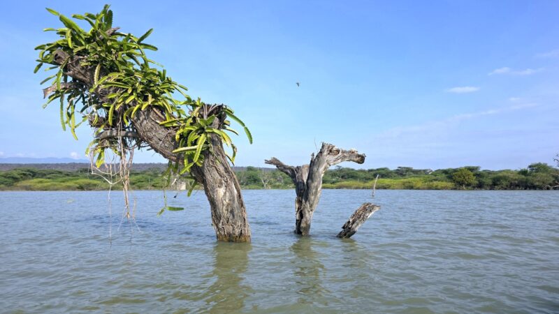 BARINGO LAKE – Live The Life Expeditions