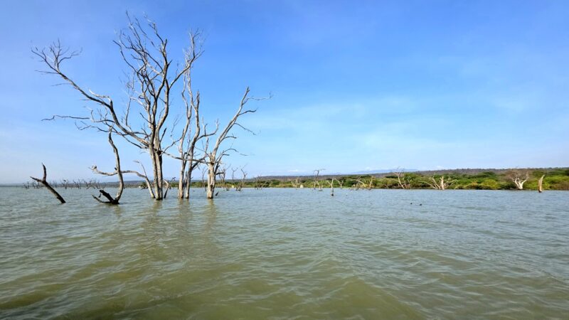 BARINGO LAKE – Live The Life Expeditions